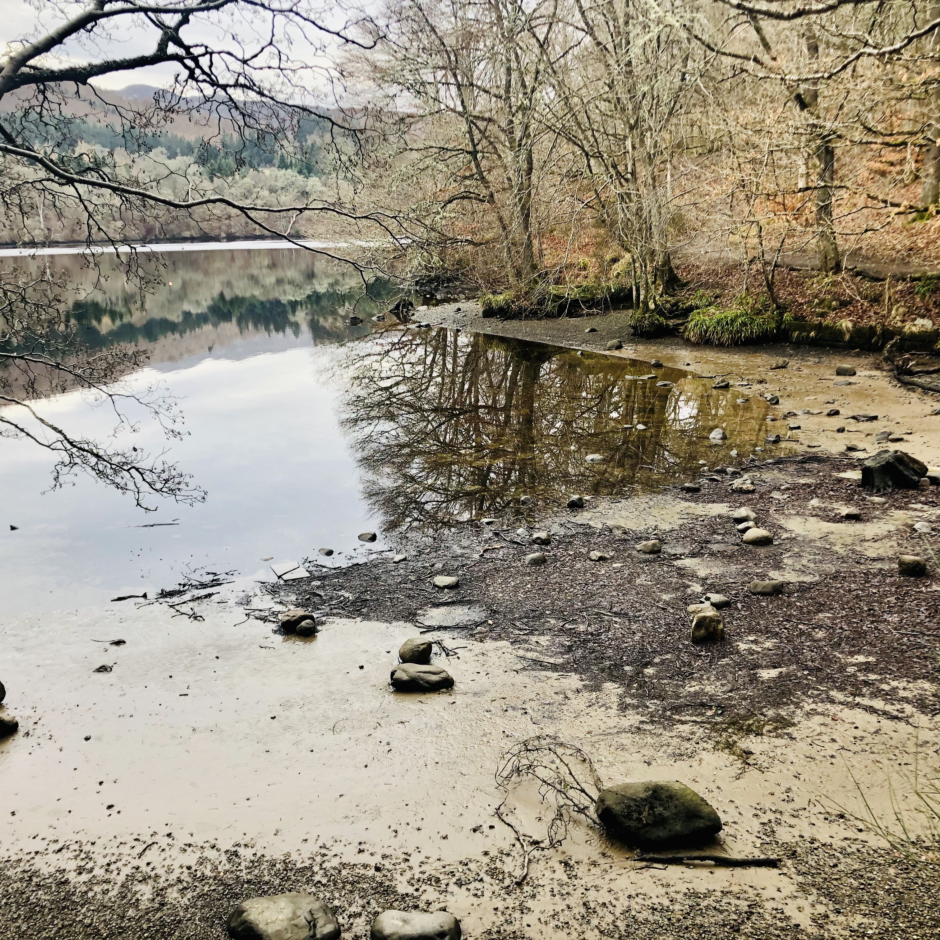 Pitlochry Beach – ScottishStarfish
